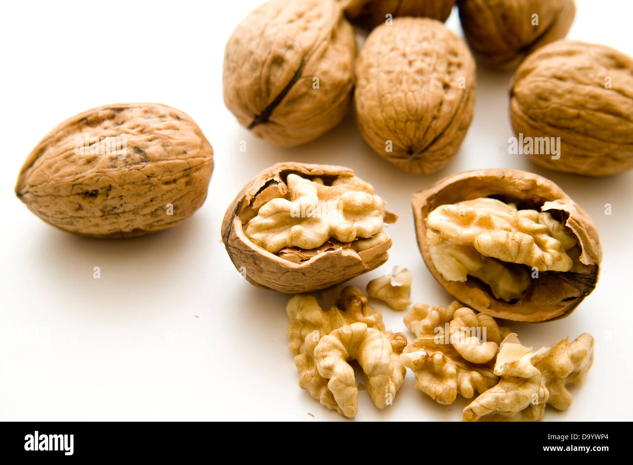 Walnut core with nutshell Stock Photo - Alamy