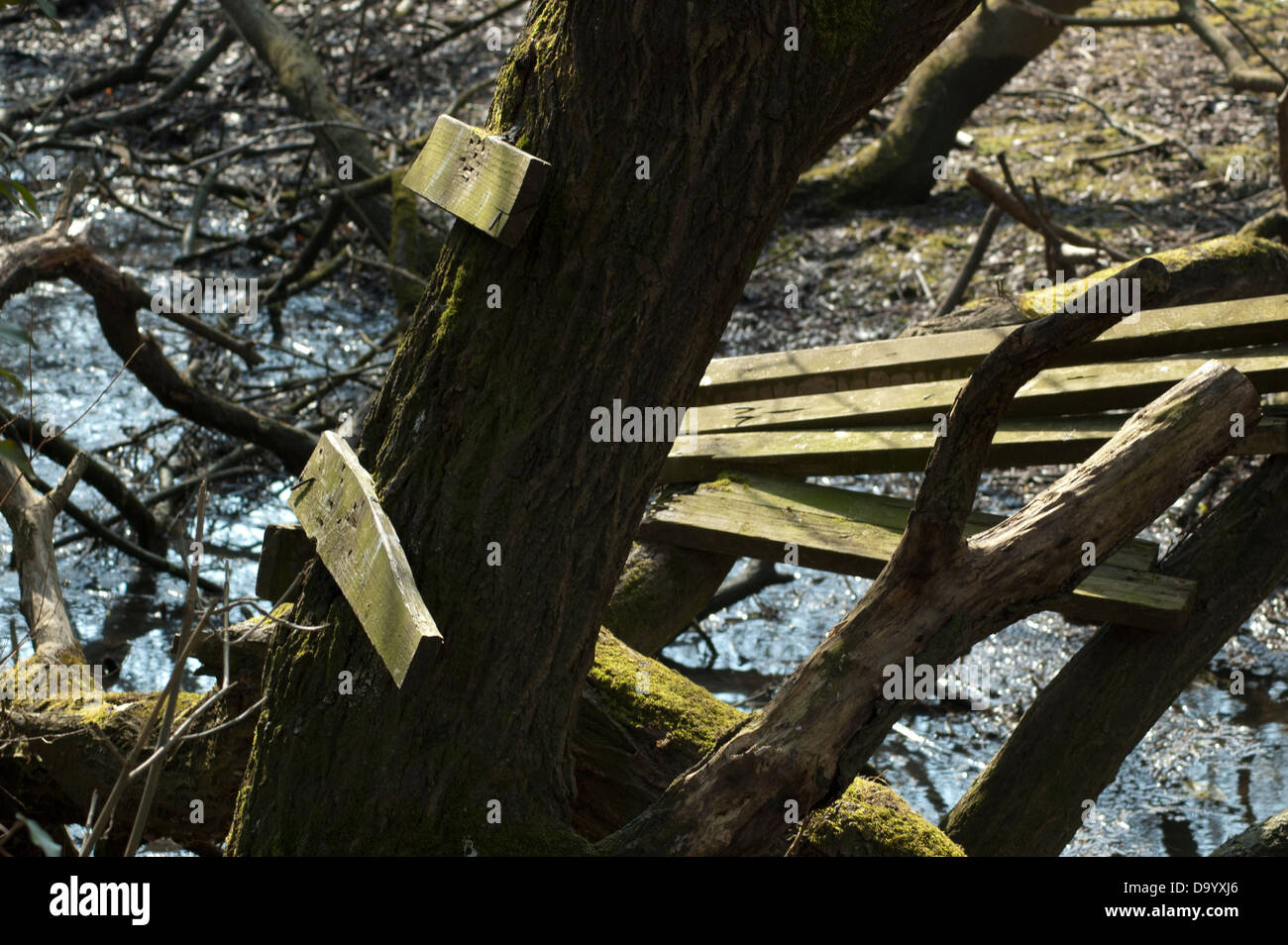 Old and derelict tree house stairway along the River Rheidol in ...
