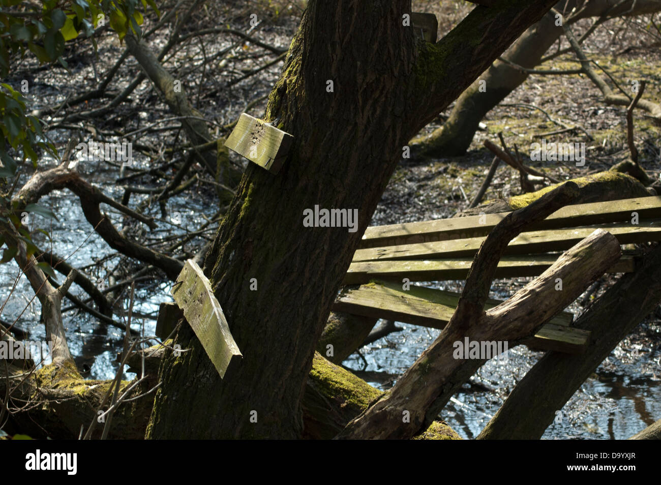 Old and derelict tree house stairway along the River Rheidol in ...