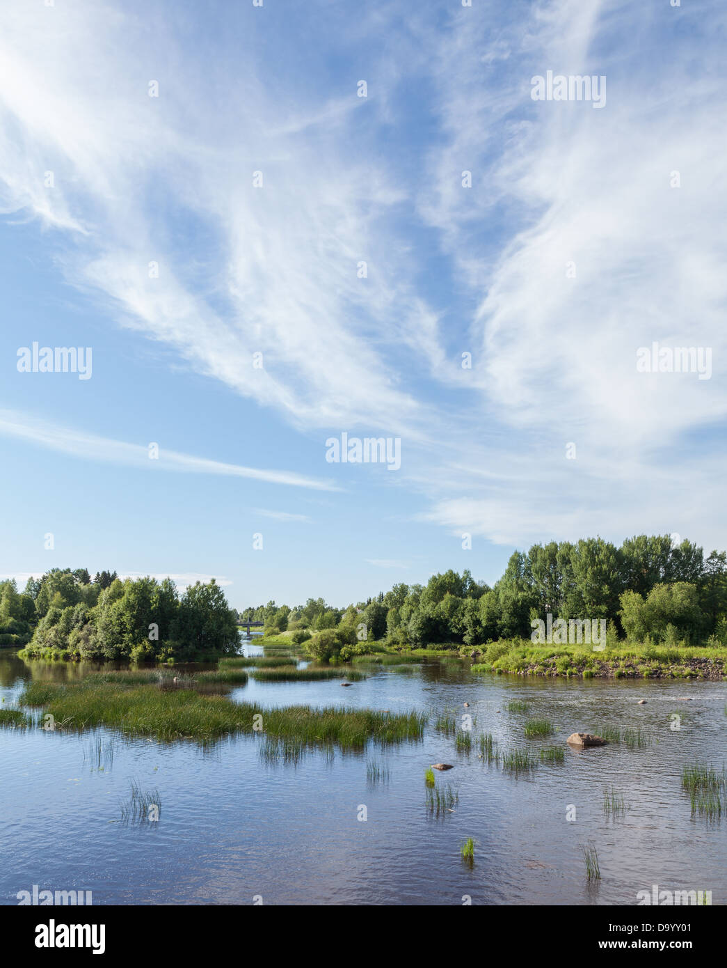 Summery hi-res stock photography and images - Alamy