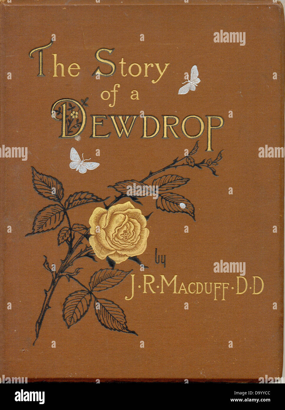 Angels insects hi-res stock photography and images - Alamy