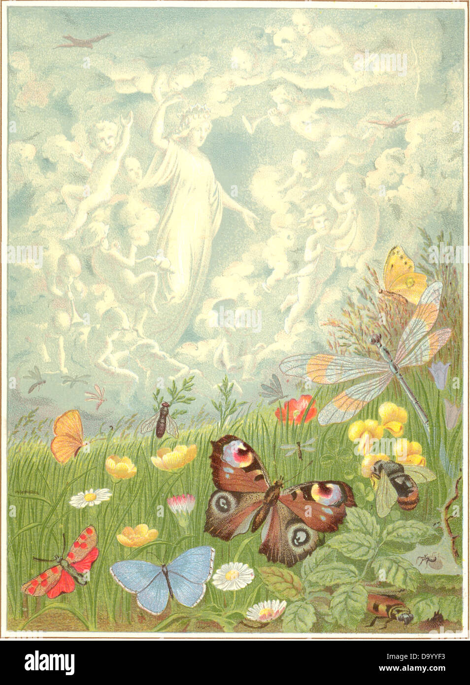 Angels insects hi-res stock photography and images - Alamy