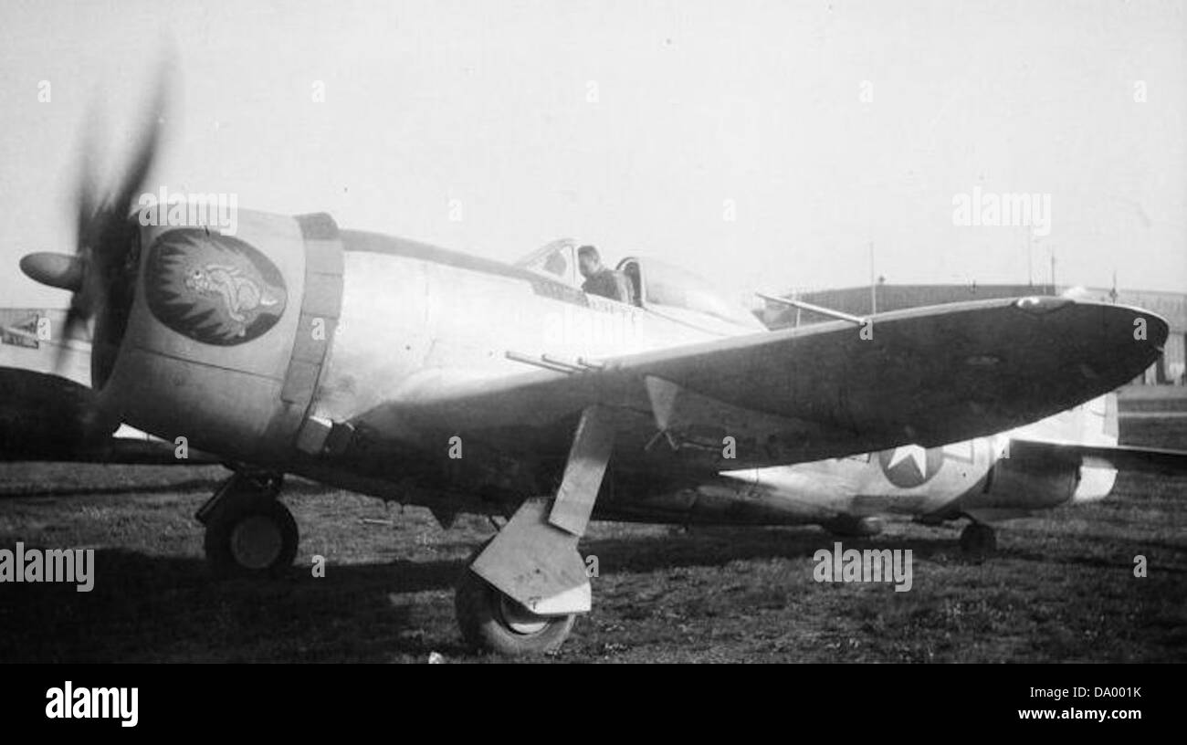 The 378th Fighter Squadron operated the P-47D Thunderbolt during World ...