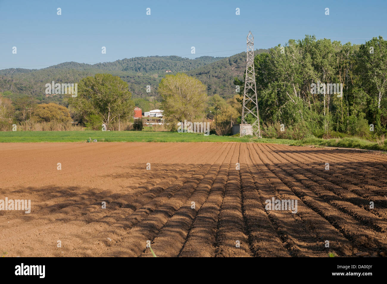 agriculture in the field ready for planting Stock Photo - Alamy