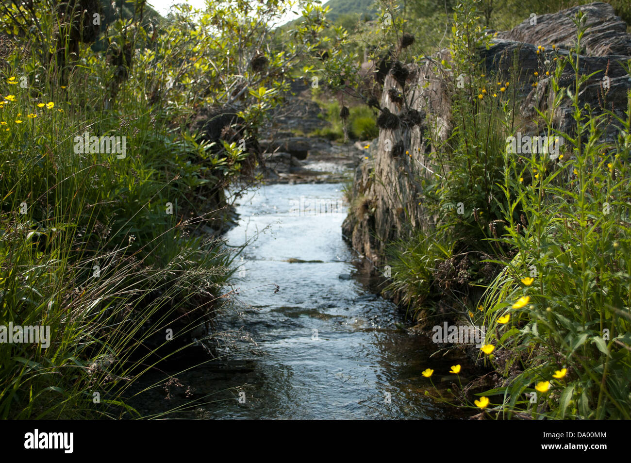 Following the River Rheidol as it flows past the mines and through the ...