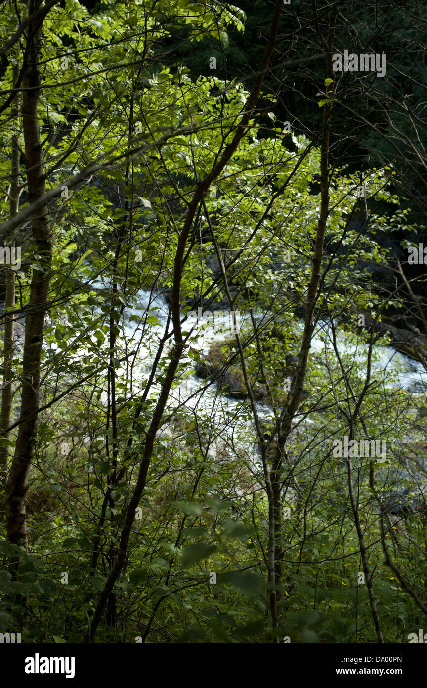 Following the River Rheidol as it flows past the mines and through the ...