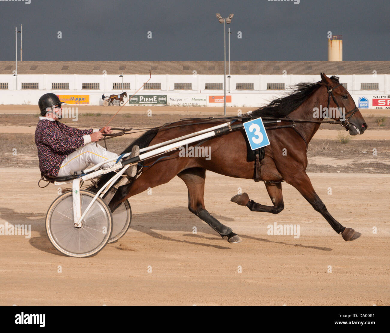 Participant in the trotting races at the Hipodrom Municipal de Mao ...
