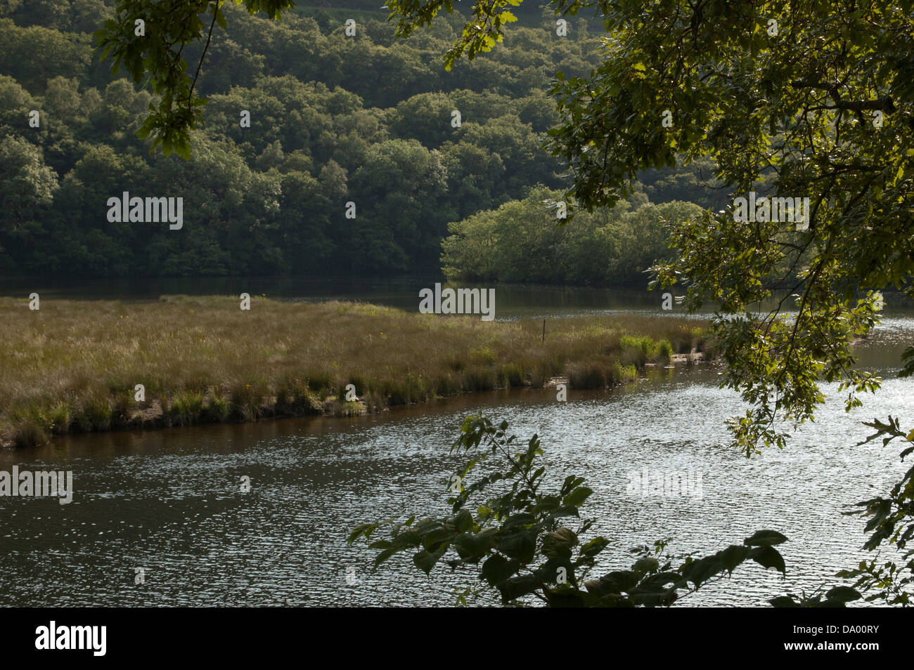 Following the River Rheidol as it flows past the mines and through the ...
