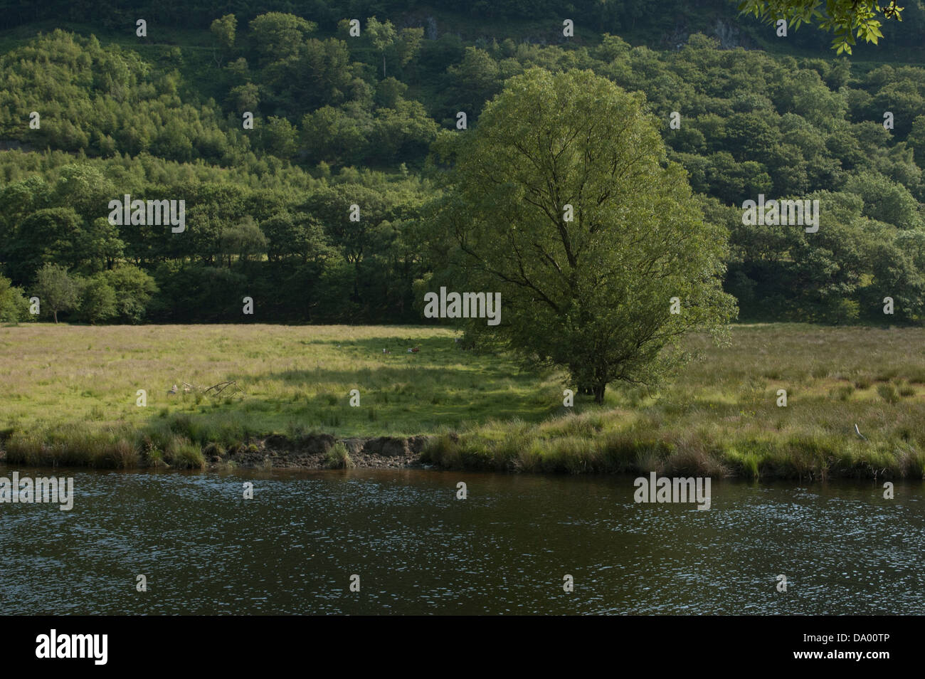 Following the River Rheidol as it flows past the mines and through the ...