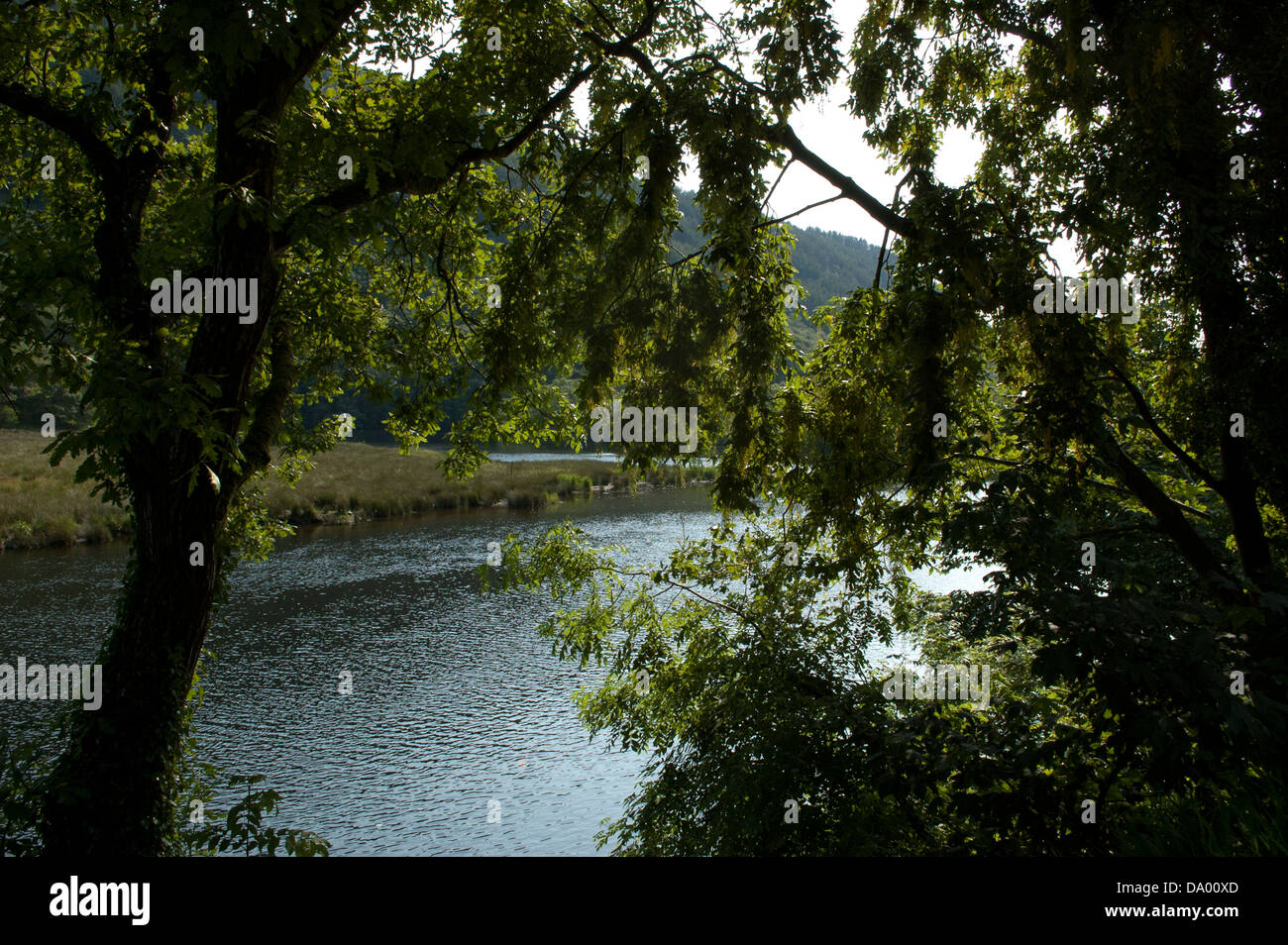 Following the River Rheidol as it flows past the mines and through the ...