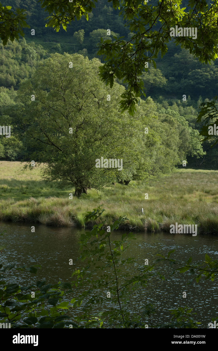 Following the River Rheidol as it flows past the mines and through the ...
