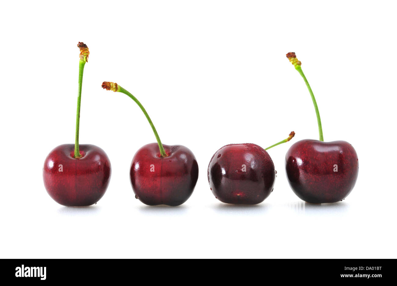 Four Cherries High Resolution Stock Photography and Images - Alamy
