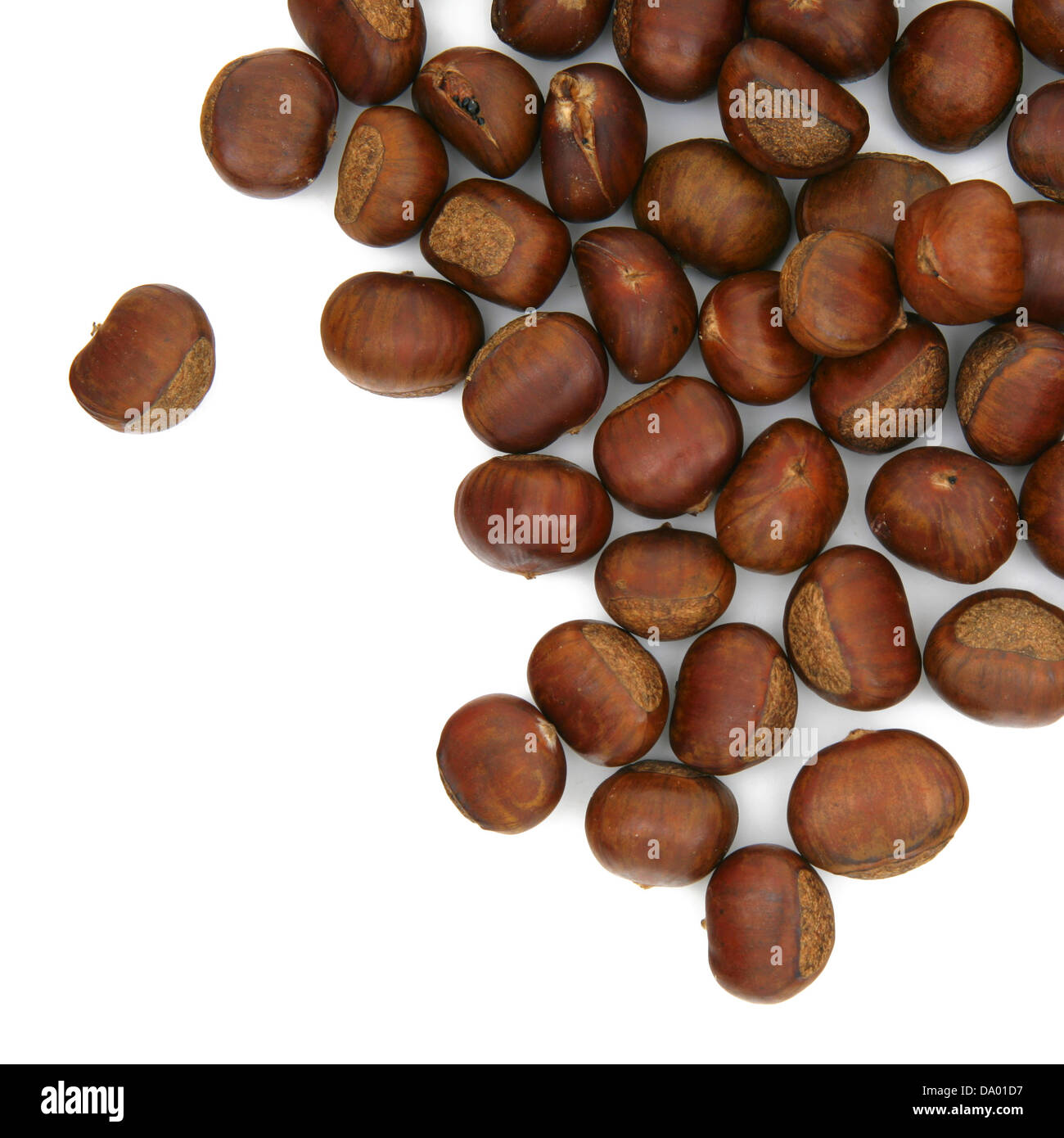 Nut seed hi-res stock photography and images - Alamy