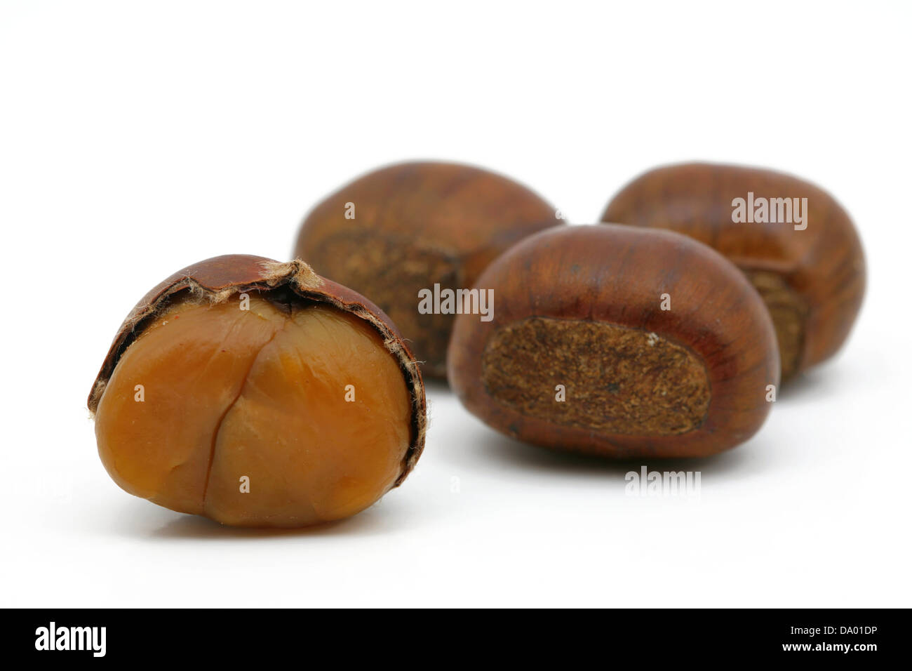 Nut seed hi-res stock photography and images - Alamy