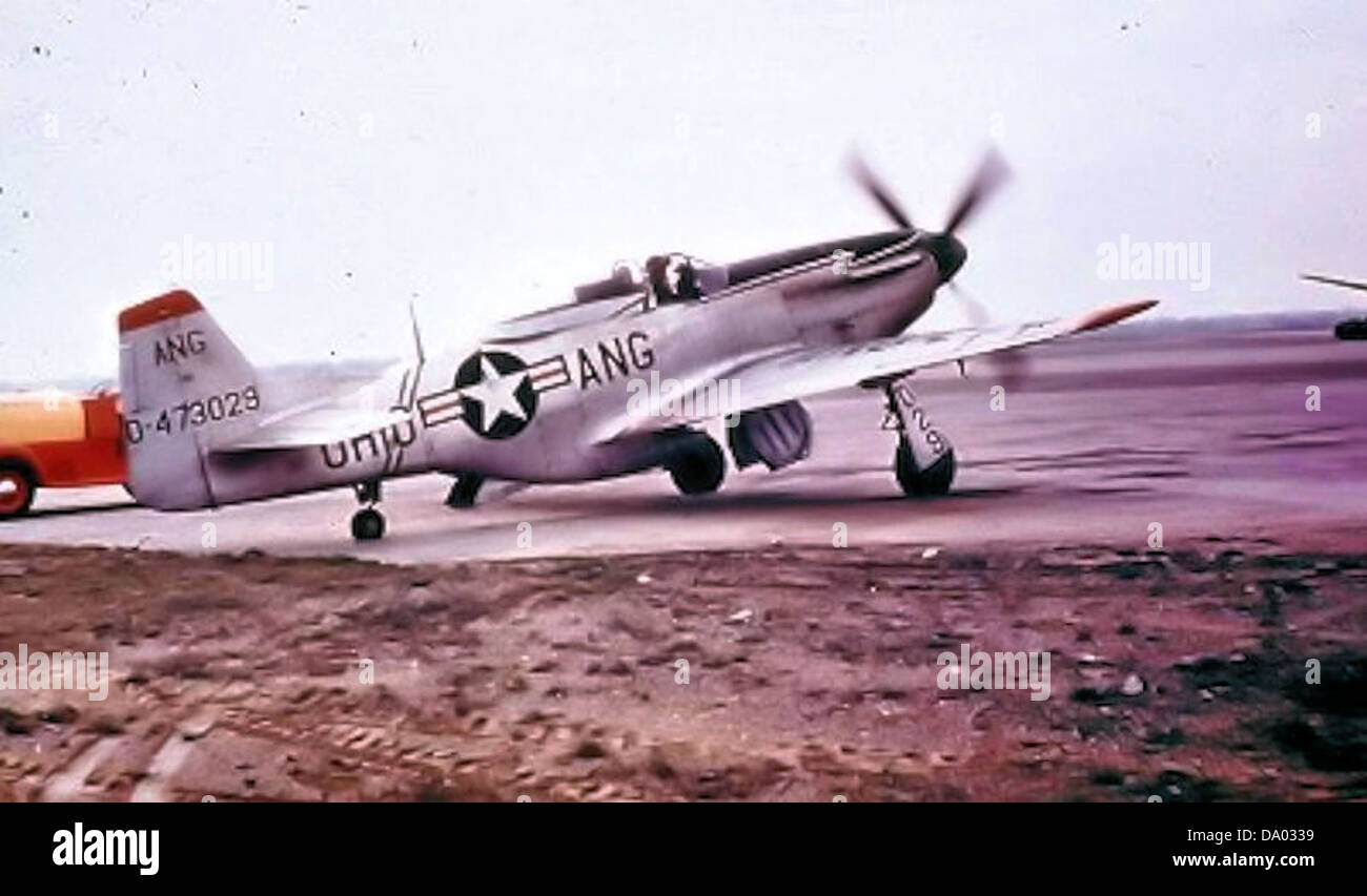 The 166th Fighter Squadron, operating the North American F-51D Mustang ...