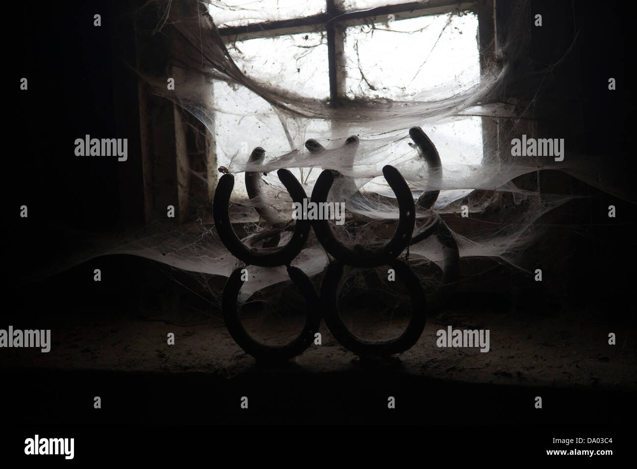 Cobwebs around window in old barn or stables Stock Photo - Alamy