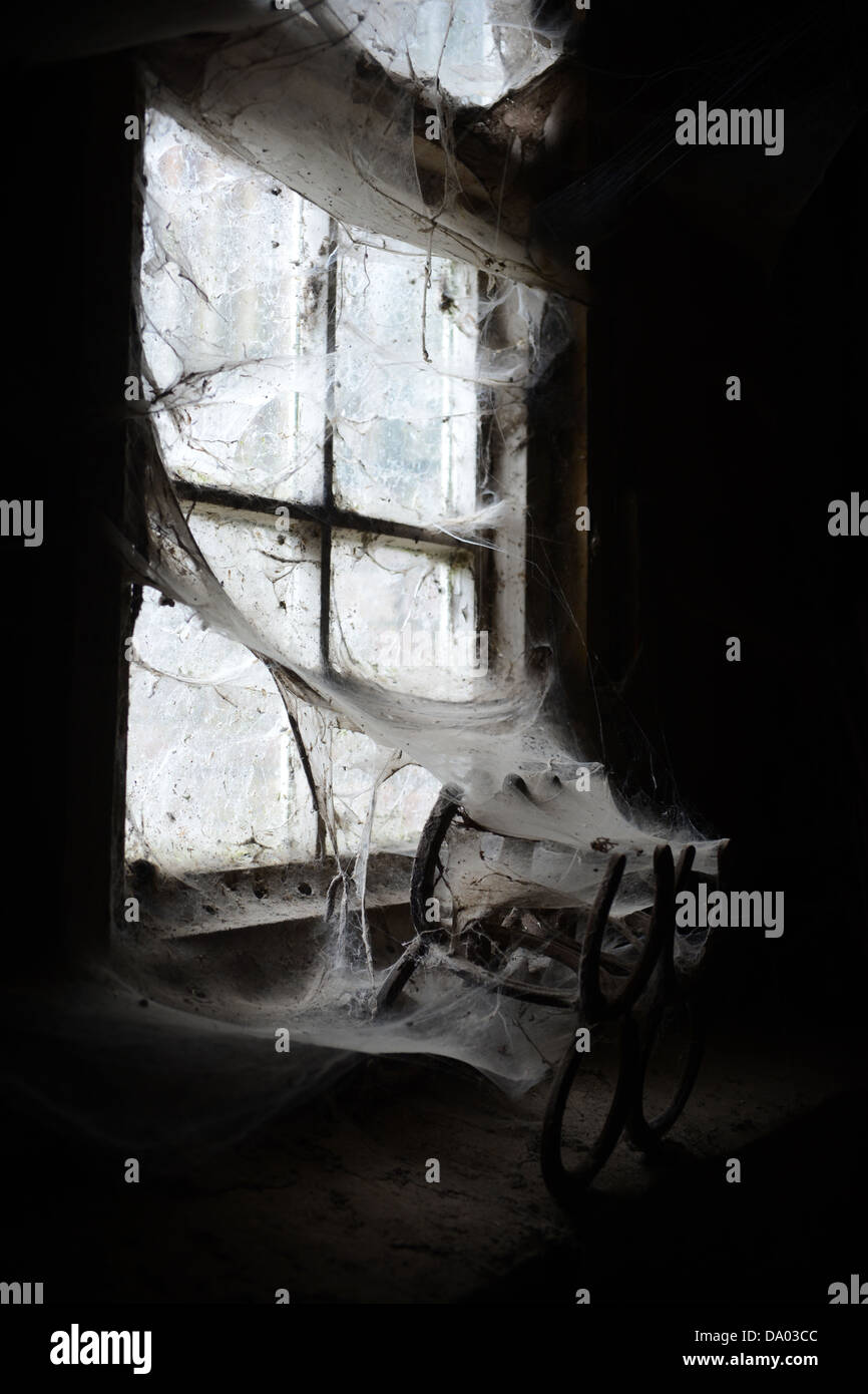 Thick cobwebs around window in old barn or stables Stock Photo - Alamy