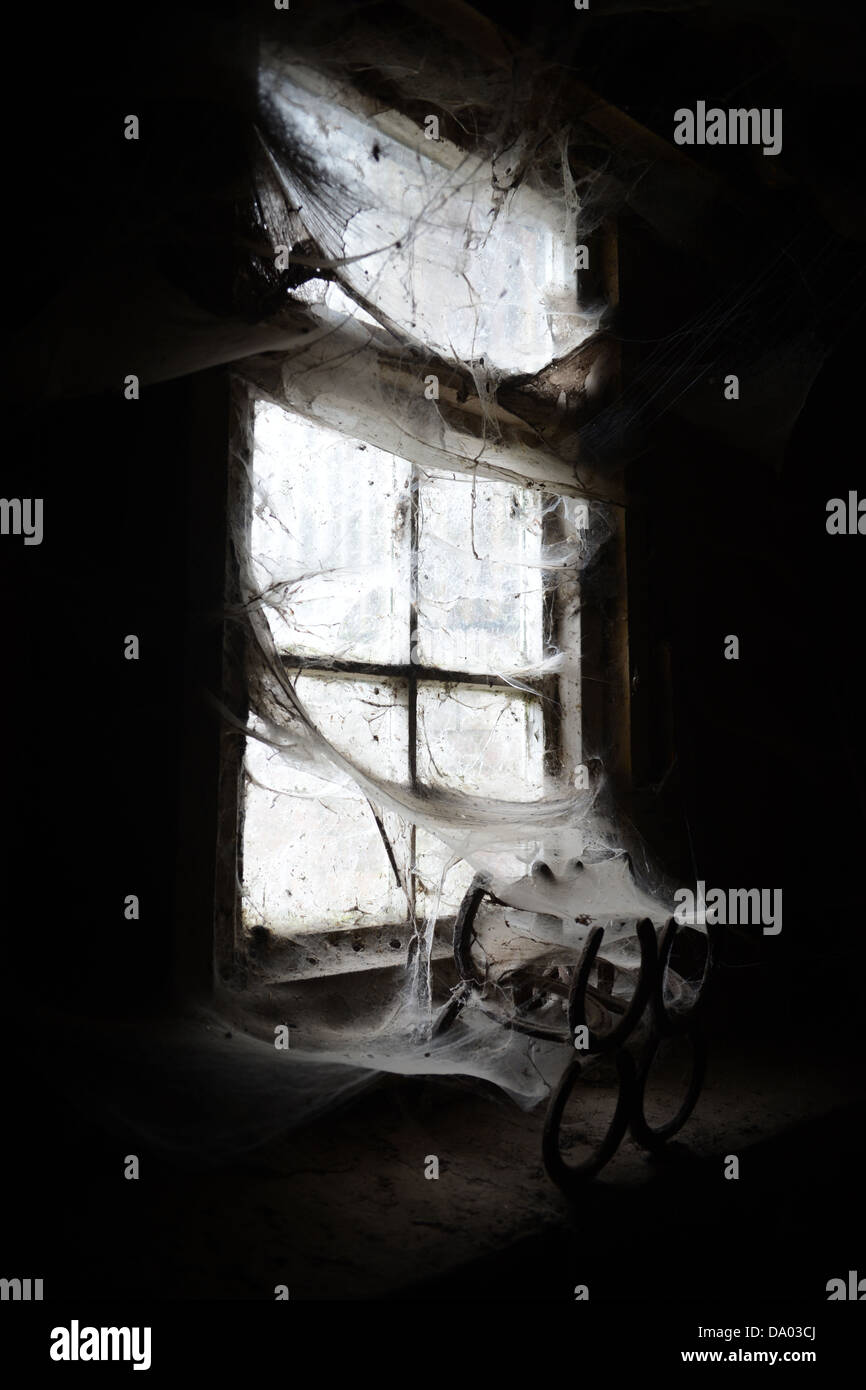 Thick cobwebs around window in an old barn or stable Stock Photo - Alamy