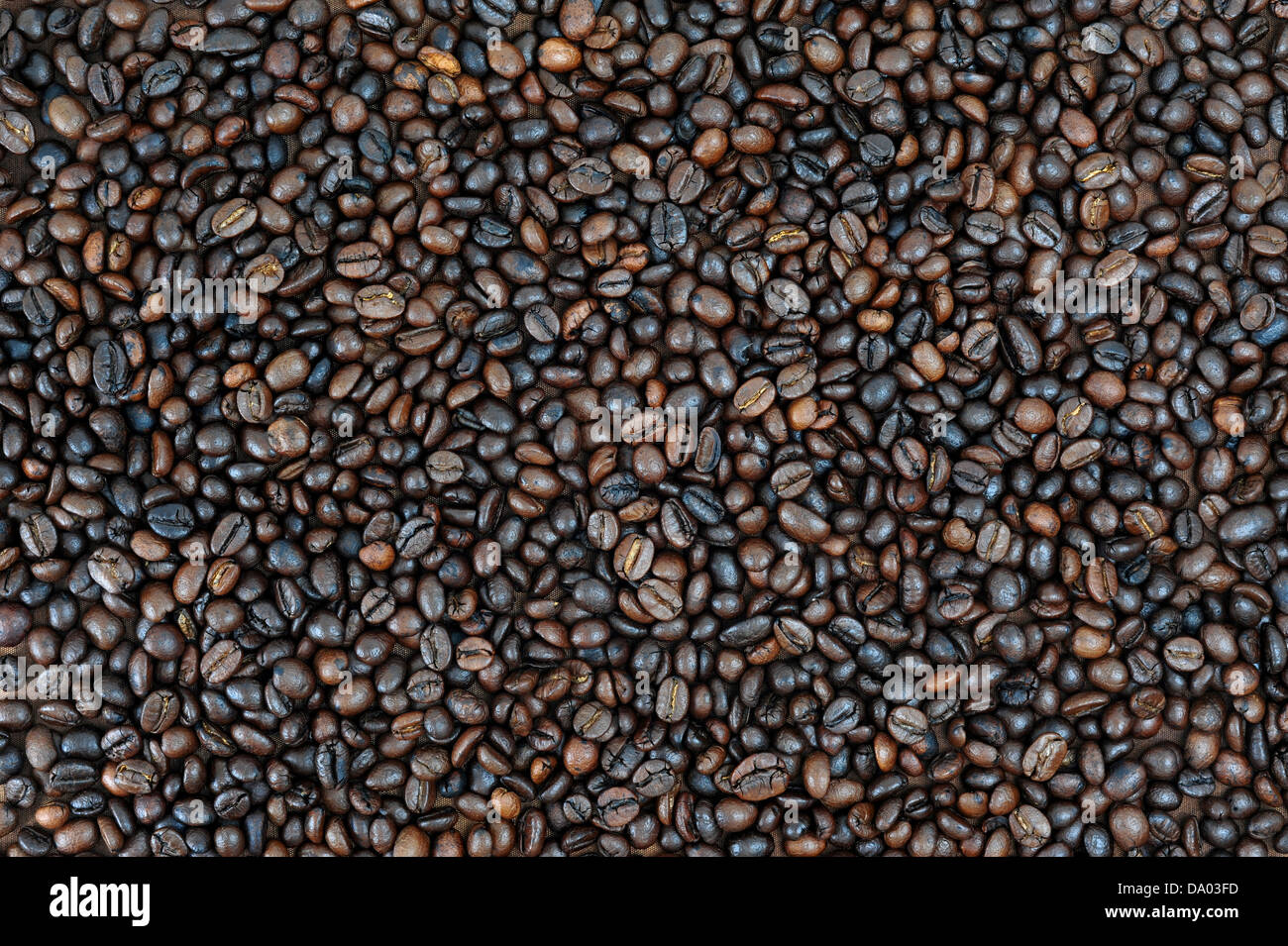Bean image hi-res stock photography and images - Alamy