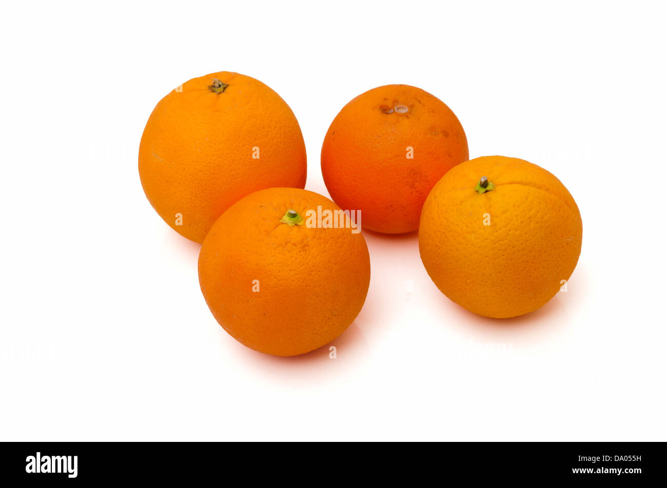 sweet oranges on a white background Stock Photo - Alamy