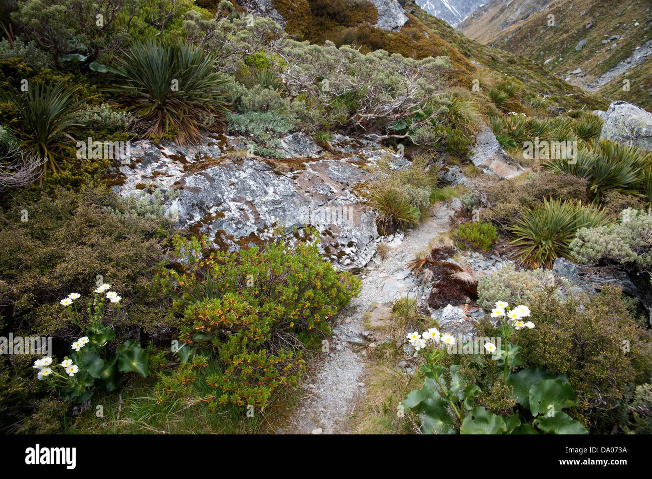 The Rees-Dart Track Stock Photo - Alamy
