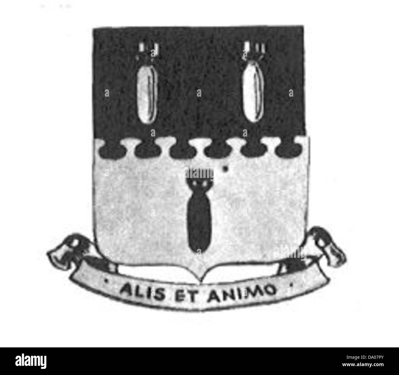 The emblem represents the 21st Bombardment Group, a U.S. Air Force unit ...