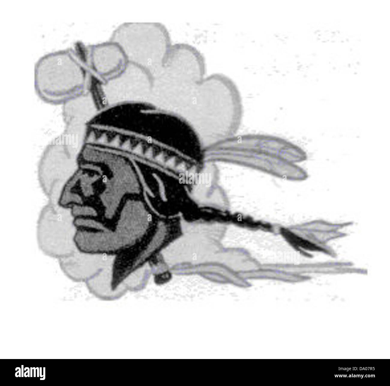 The 21st Pursuit Squadron emblem represents a historical U.S. Air Force ...