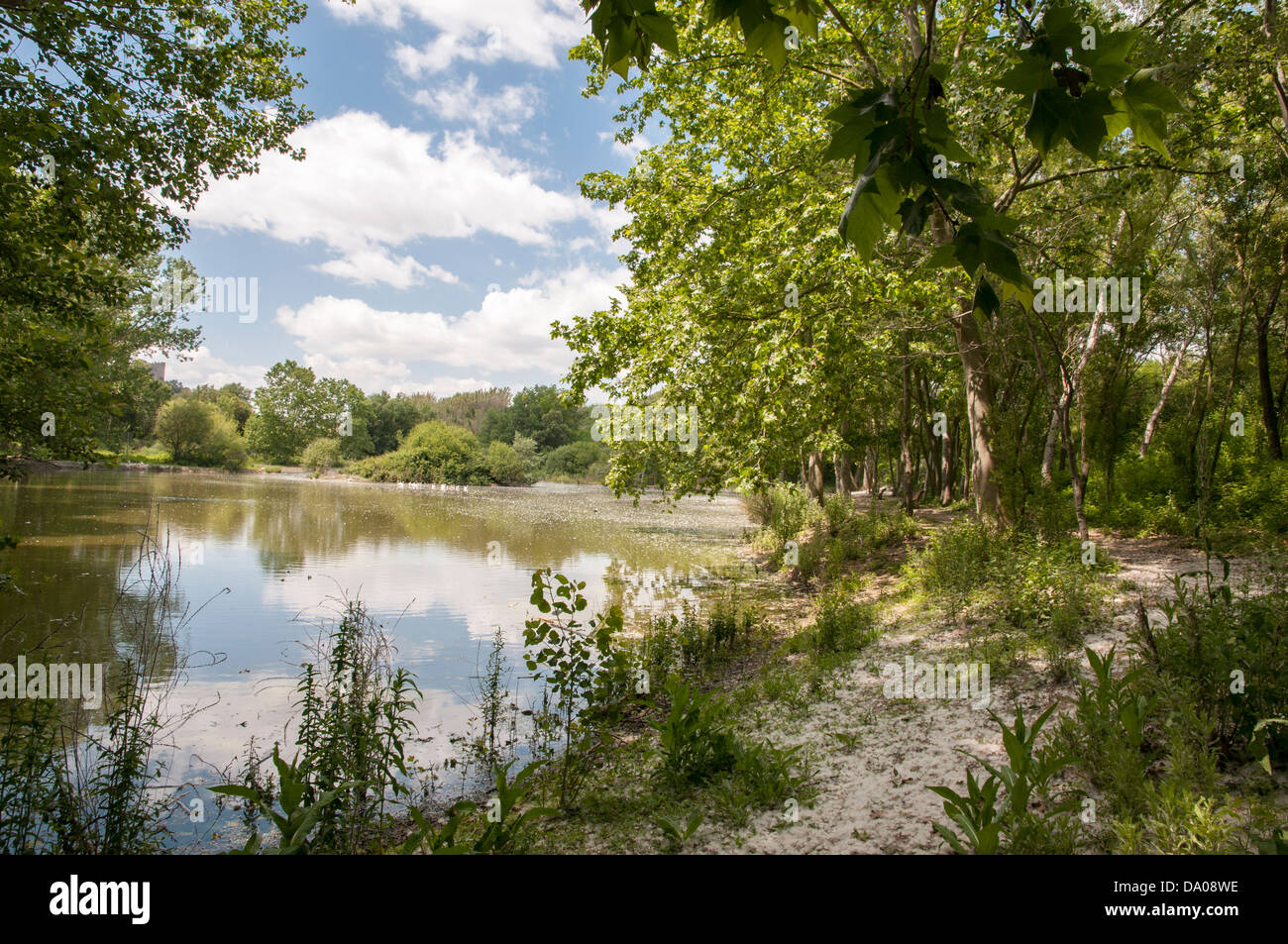 lake with lots of greenery and water reflection Stock Photo - Alamy