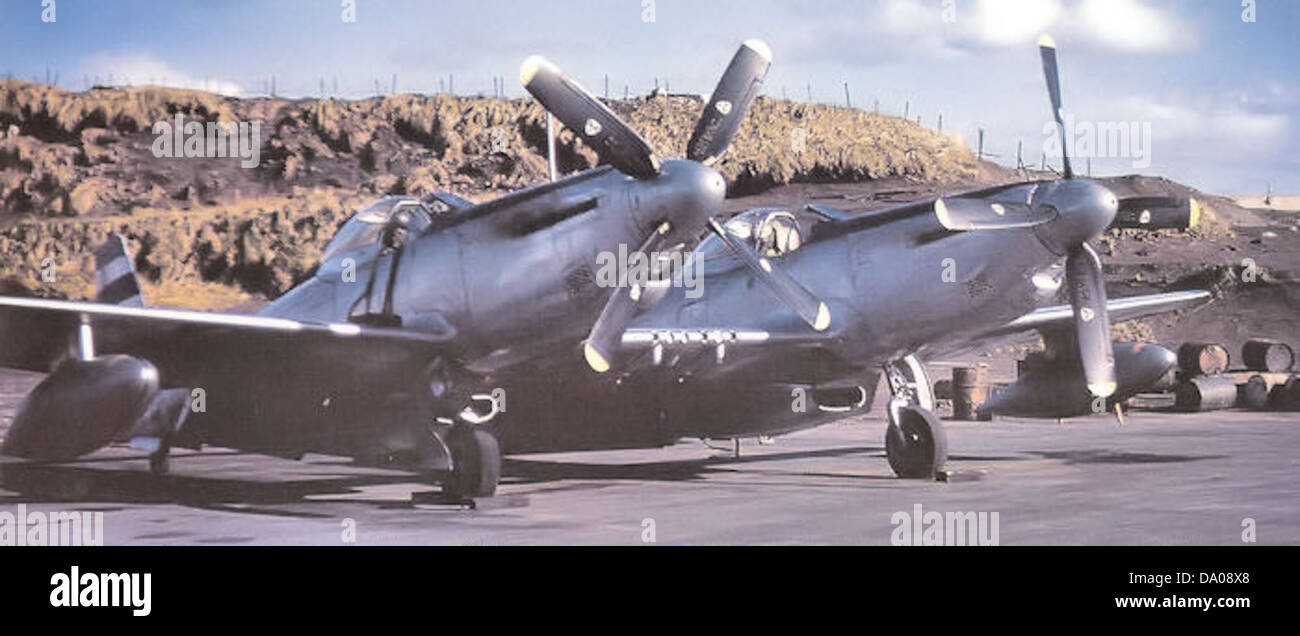 The F-82E Twin Mustang was a long-range fighter aircraft used in the ...