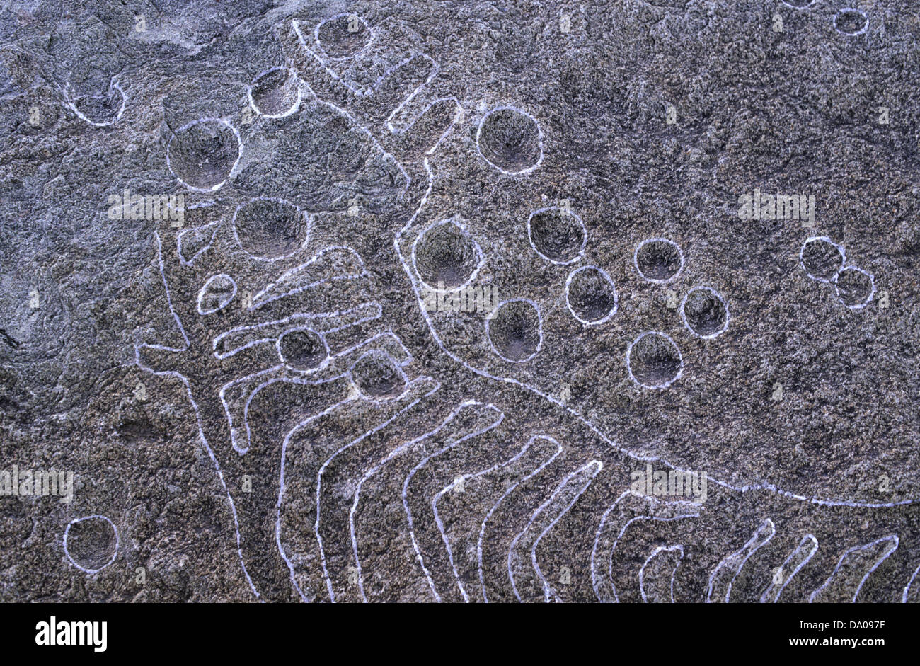 Prehistoric engraved rock petroglyph art in Suyukou National Forest ...