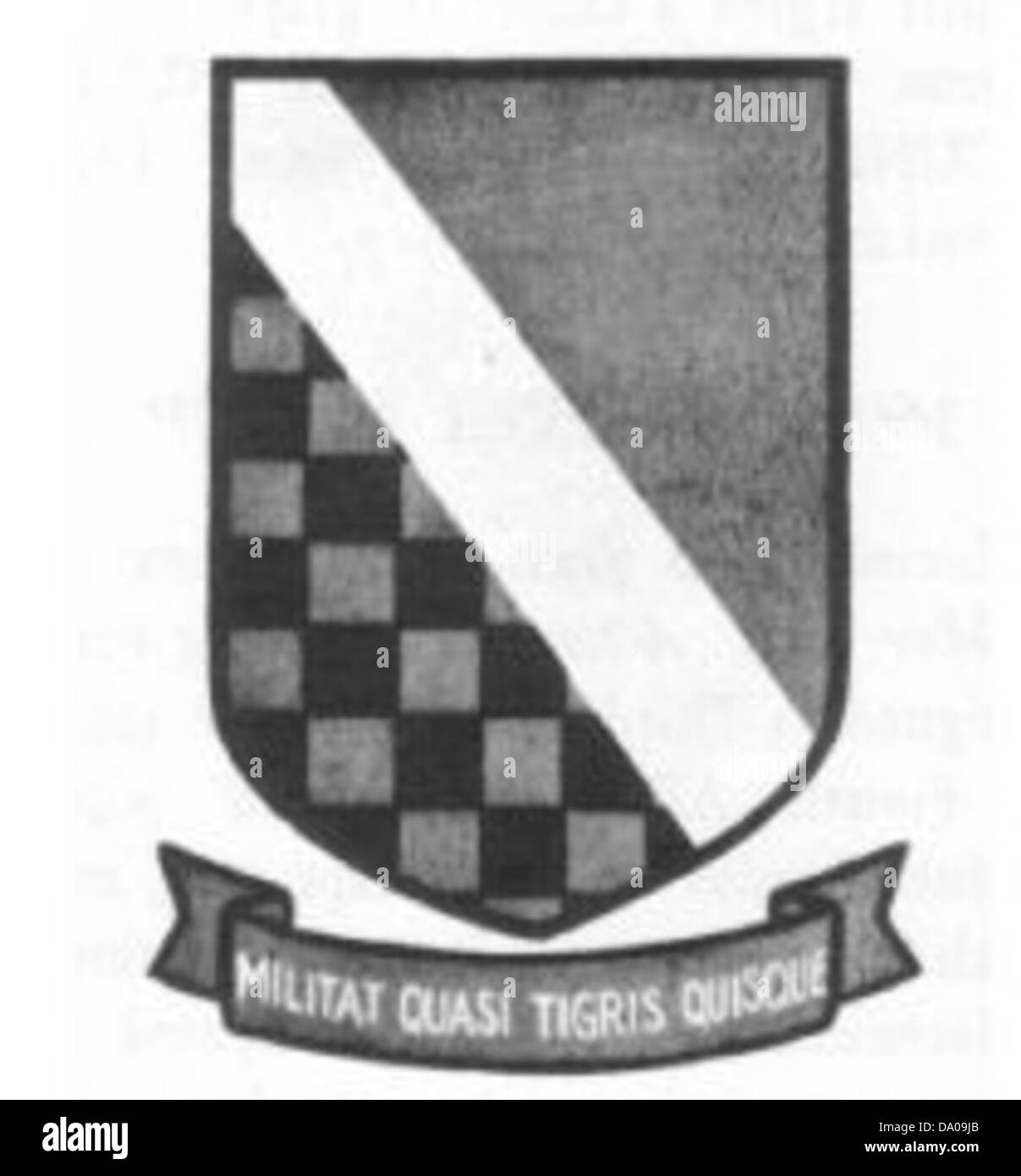 The emblem of the 370th Fighter Group represents its role in tactical ...