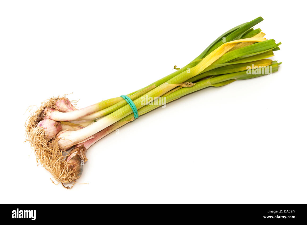 small onions bunch on a white background Stock Photo - Alamy