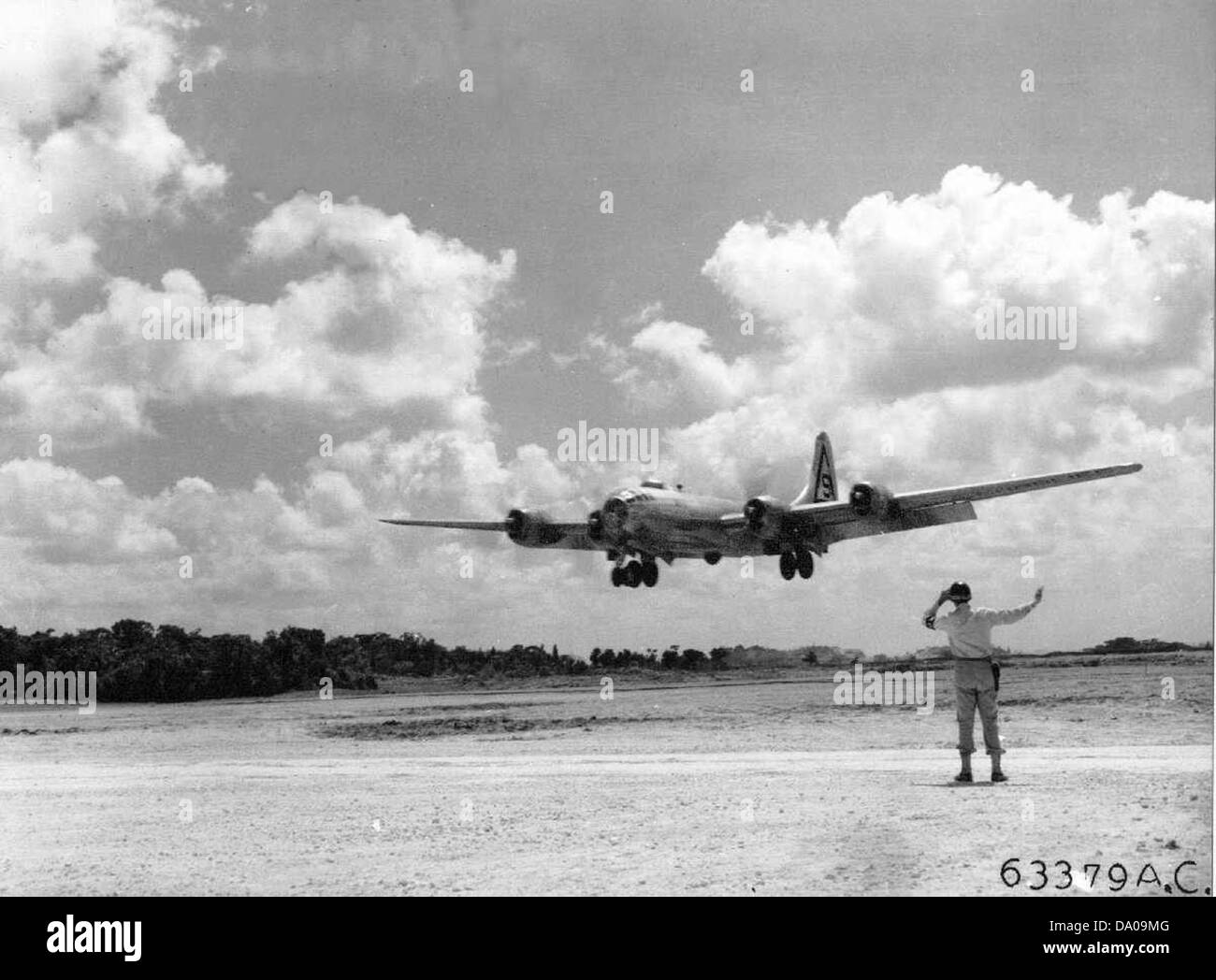 Attinian hi-res stock photography and images - Alamy