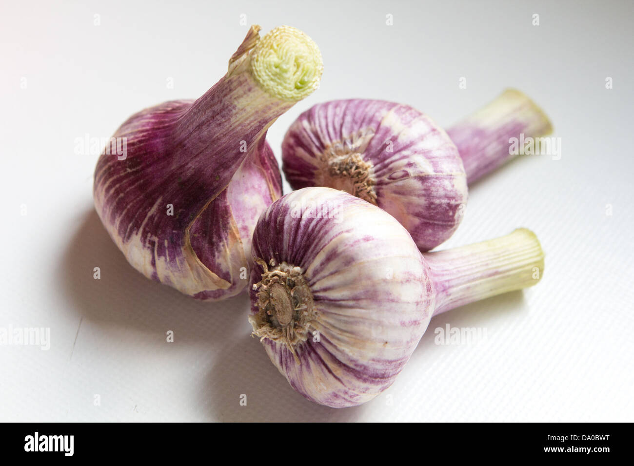 Bulbs of green garlic Stock Photo - Alamy