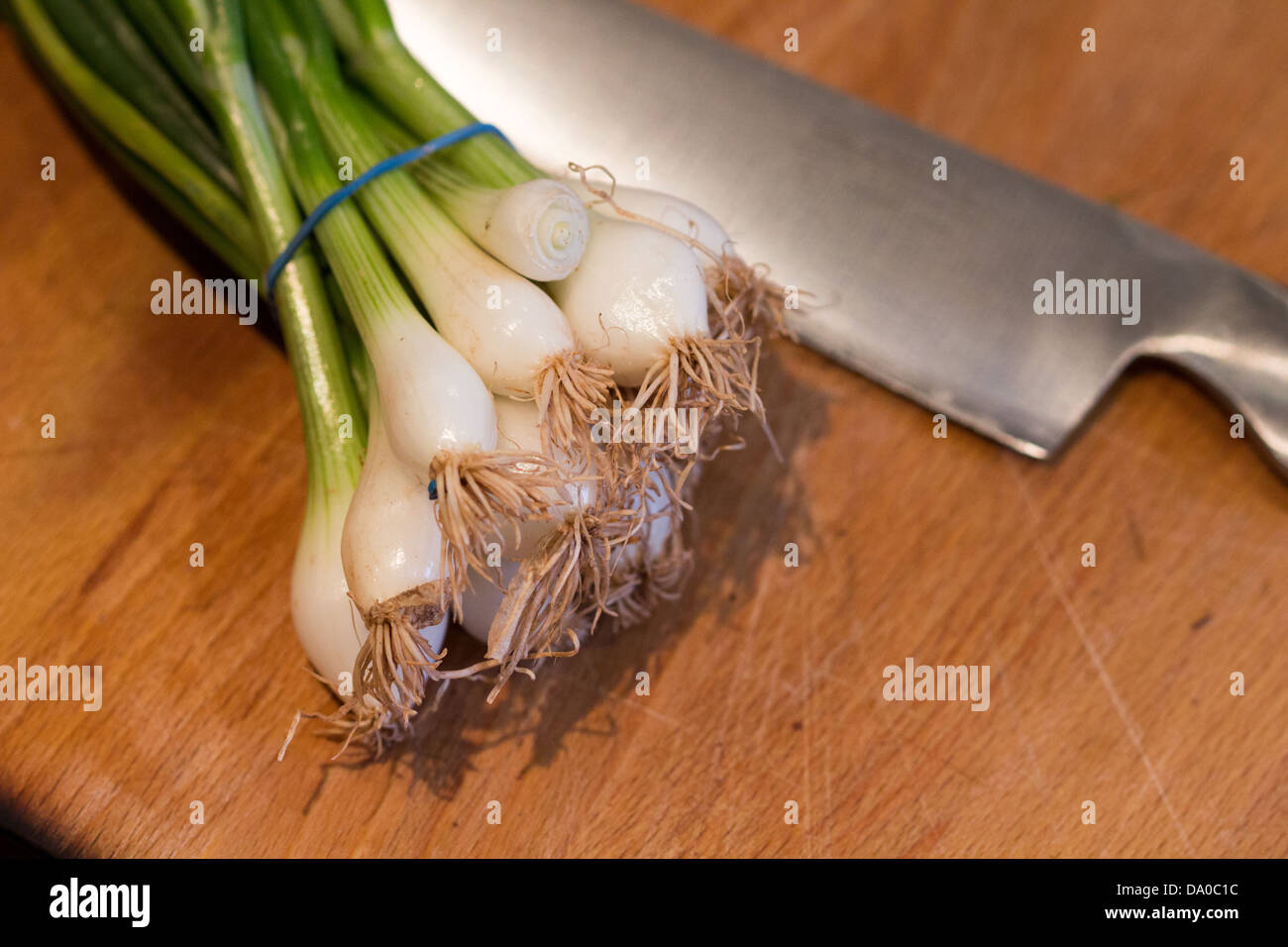Spring knife hi-res stock photography and images - Alamy