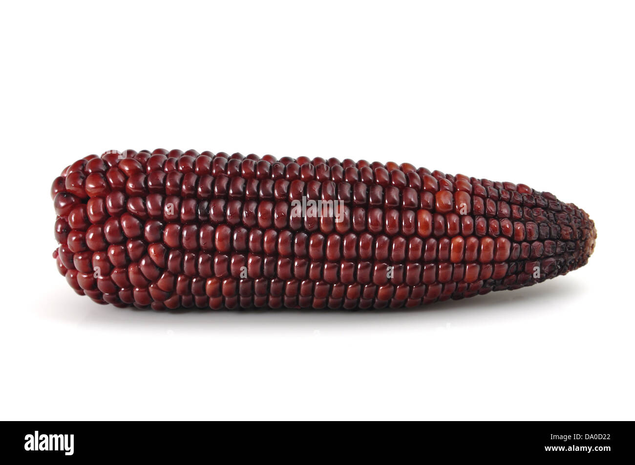 Red Corn on white background Stock Photo - Alamy