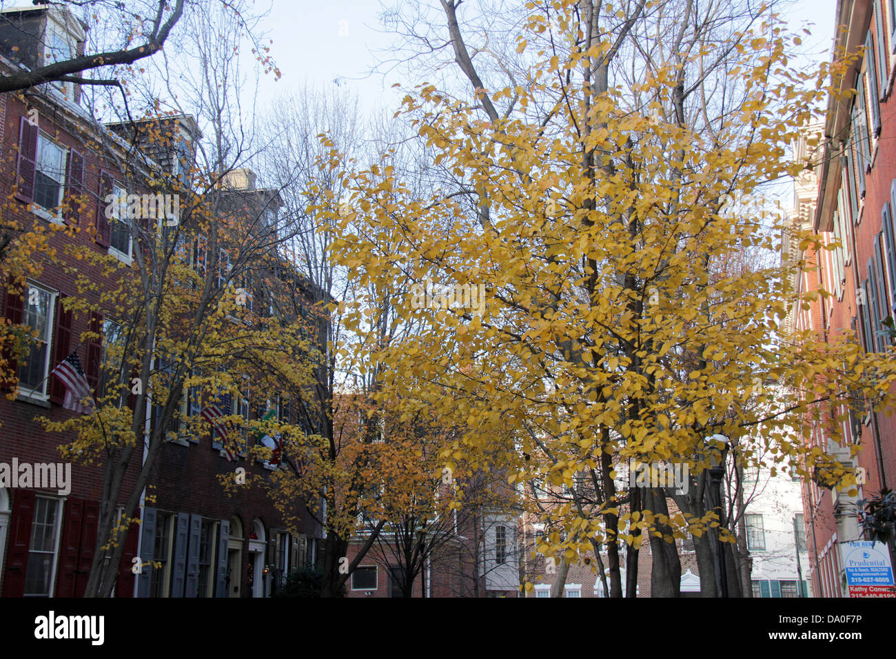 Center City, Philadelphia, Pennsylvania, flowering trees Stock Photo ...