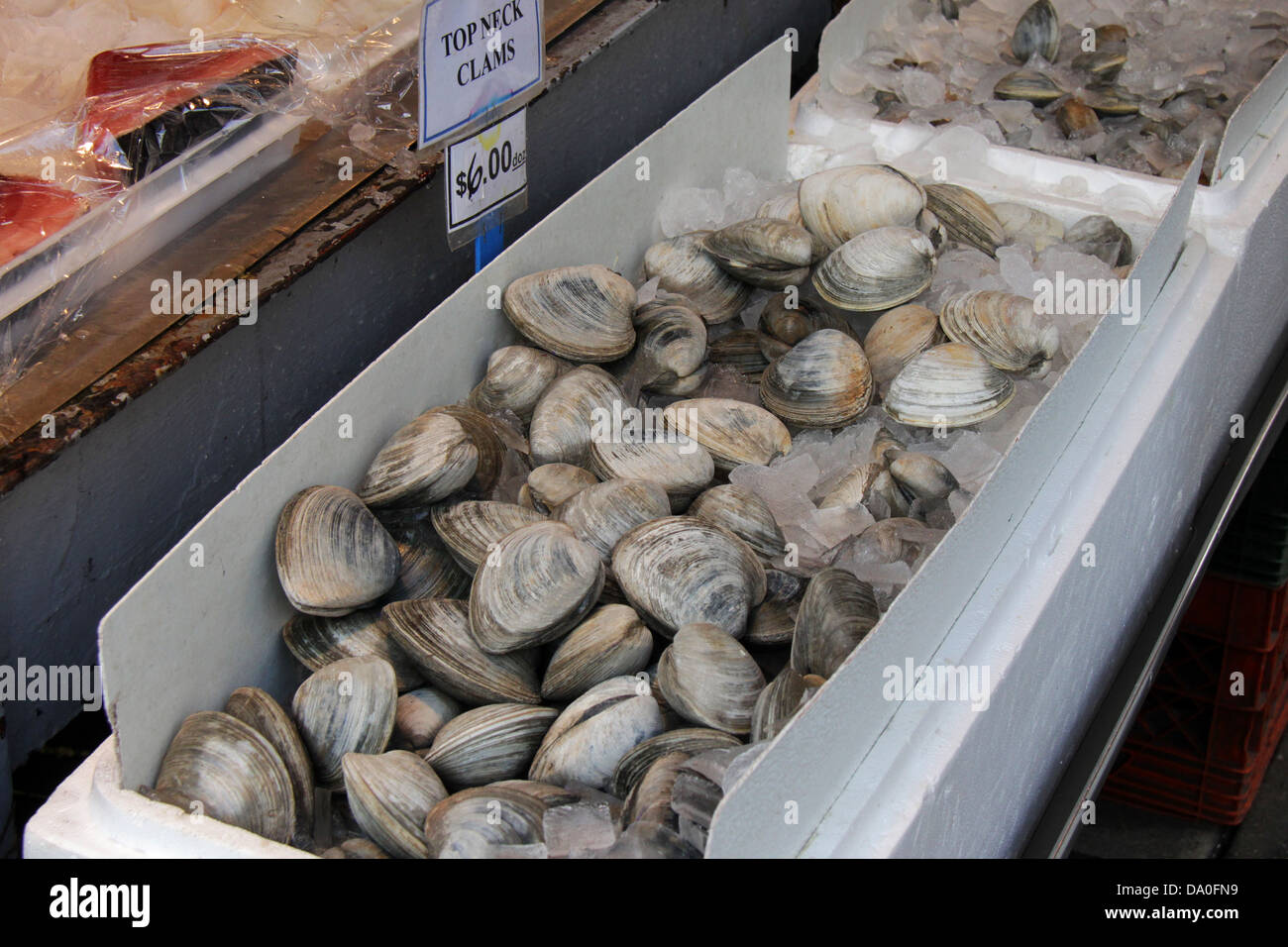 Clamshells High Resolution Stock Photography and Images - Alamy