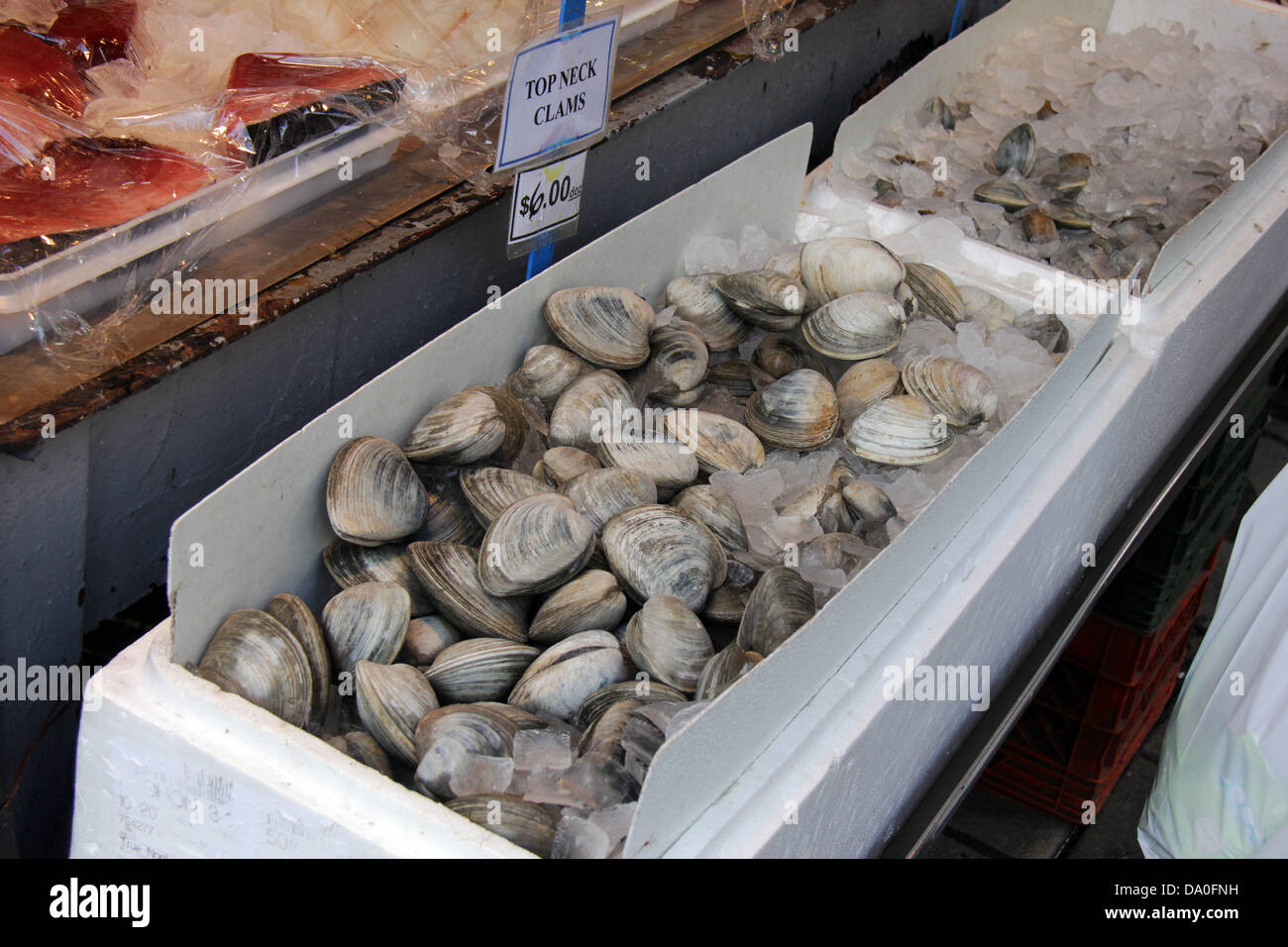 Clamshells hi-res stock photography and images - Alamy