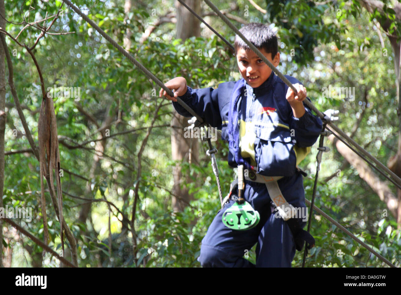 Boy Treetop climb ropes bridge Stock Photo - Alamy