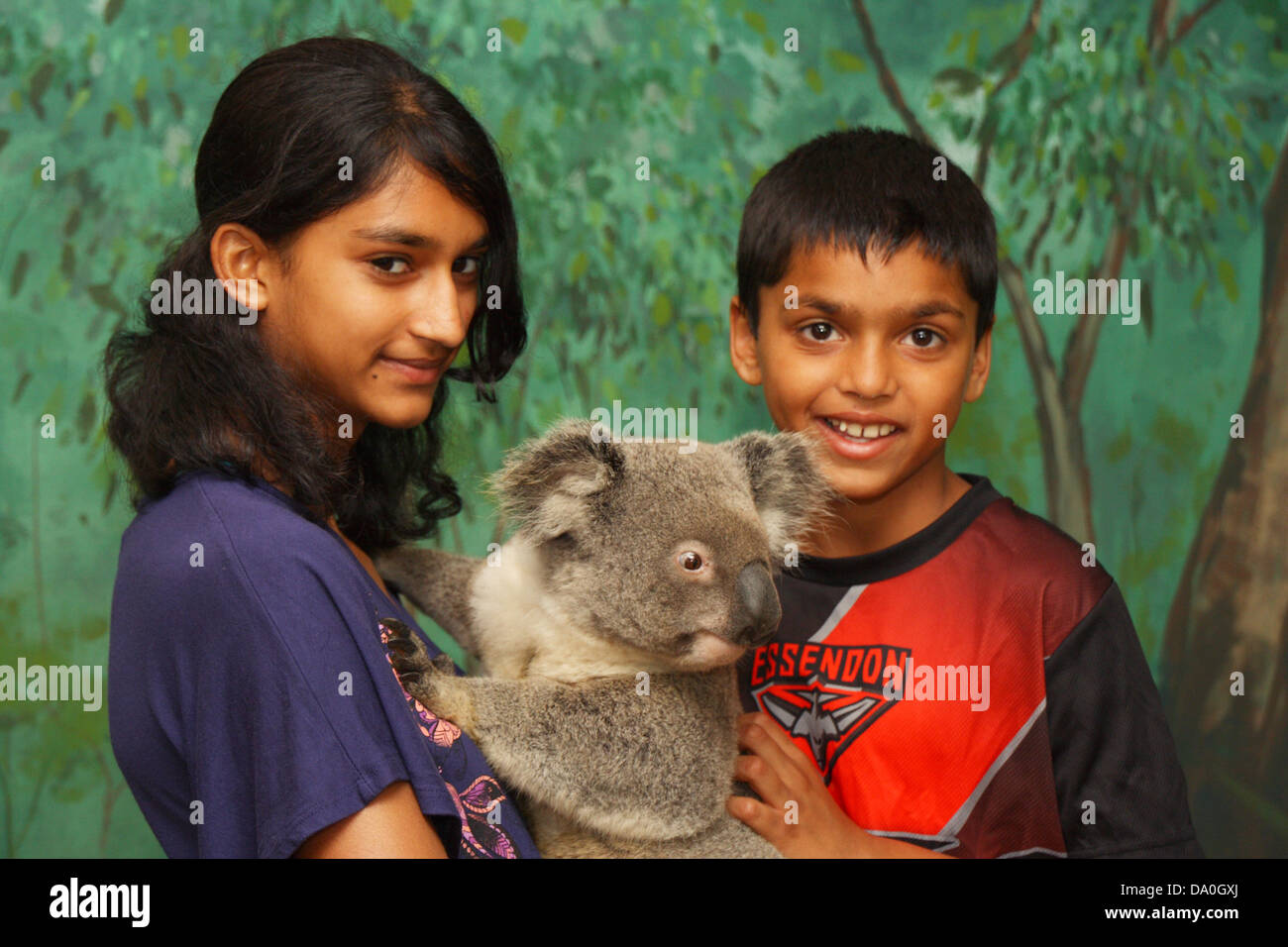 Brother and Sister hugging a Koala Stock Photo - Alamy