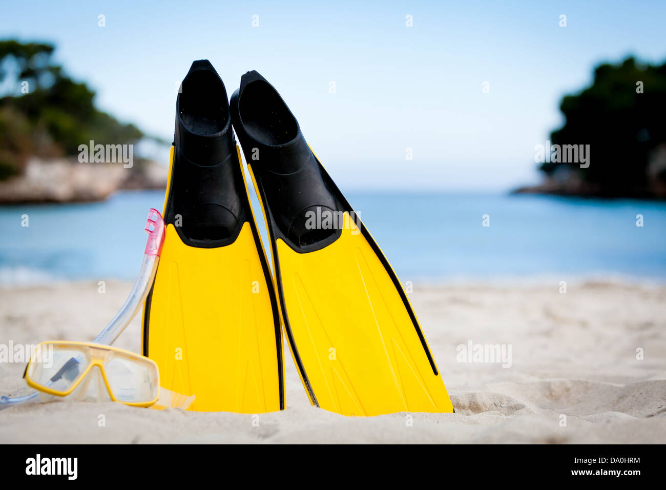 Yellow fins hi-res stock photography and images - Alamy
