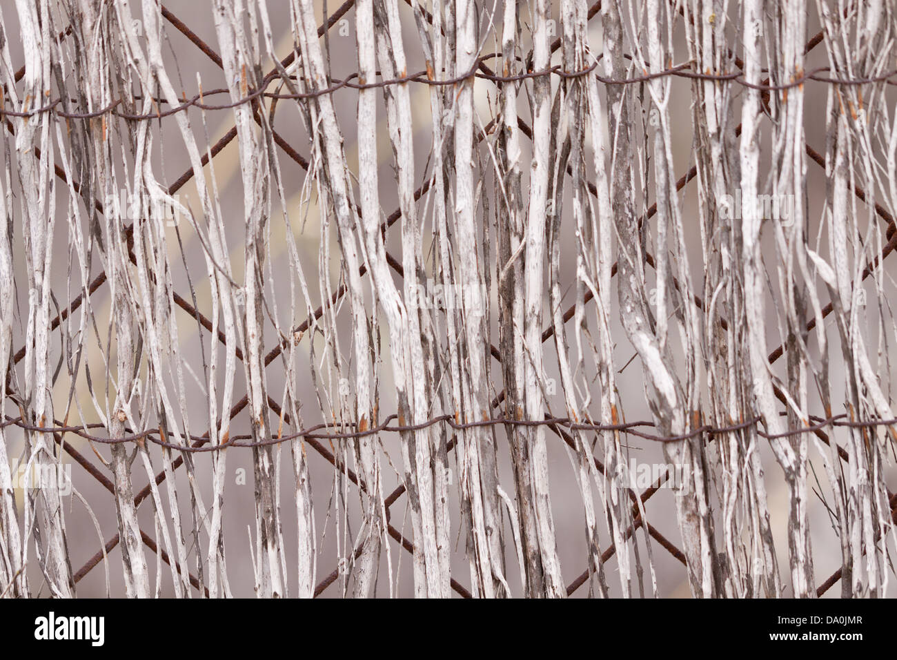 natural background texture material outdoor old abstract Stock Photo ...
