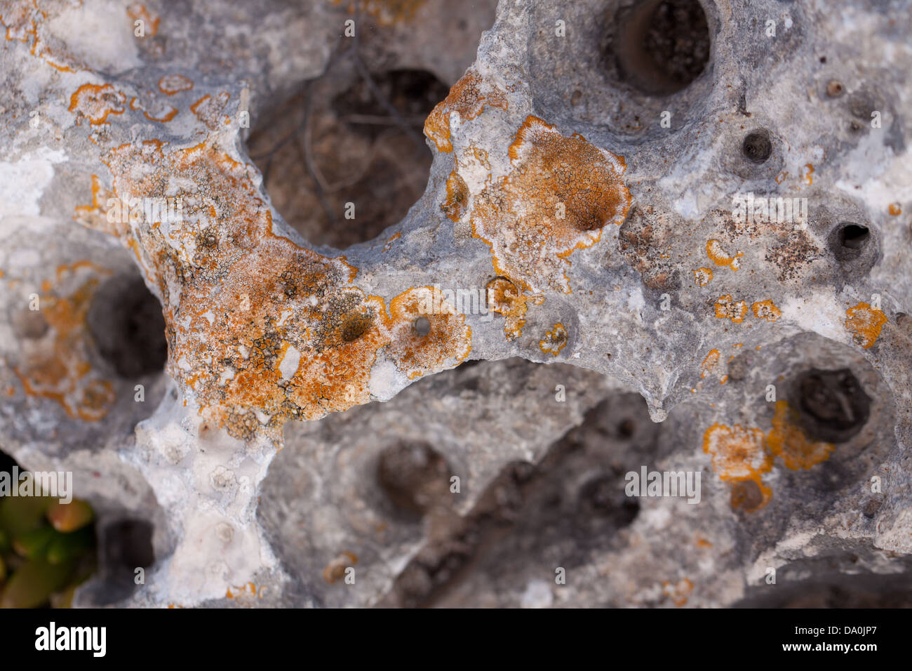 natural background texture material outdoor old abstract Stock Photo ...