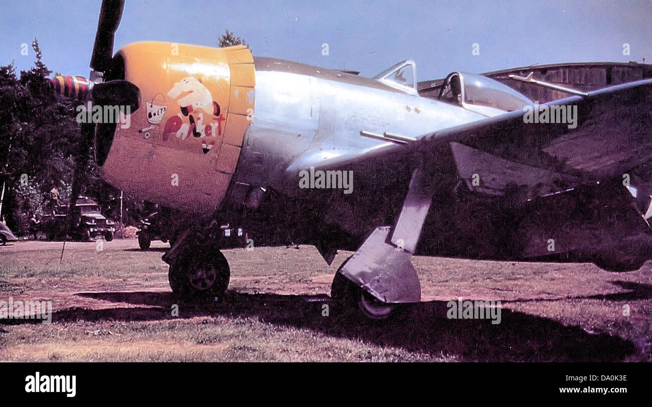 The 394th Fighter Squadron operated the P-47D Thunderbolt during World ...