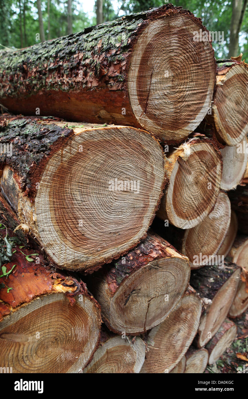 Pile Rings High Resolution Stock Photography and Images - Alamy