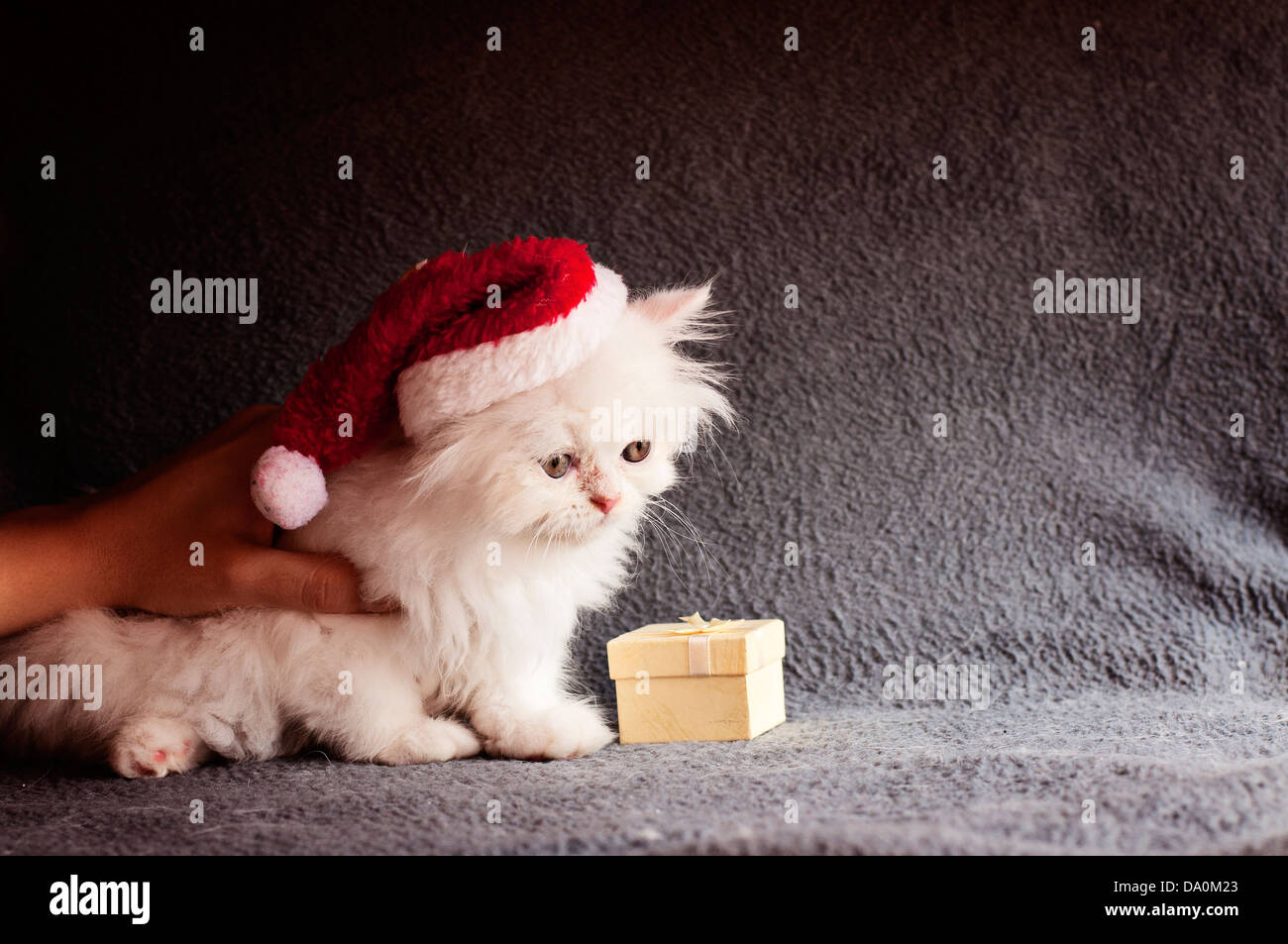 Adorable santa hi-res stock photography and images - Alamy