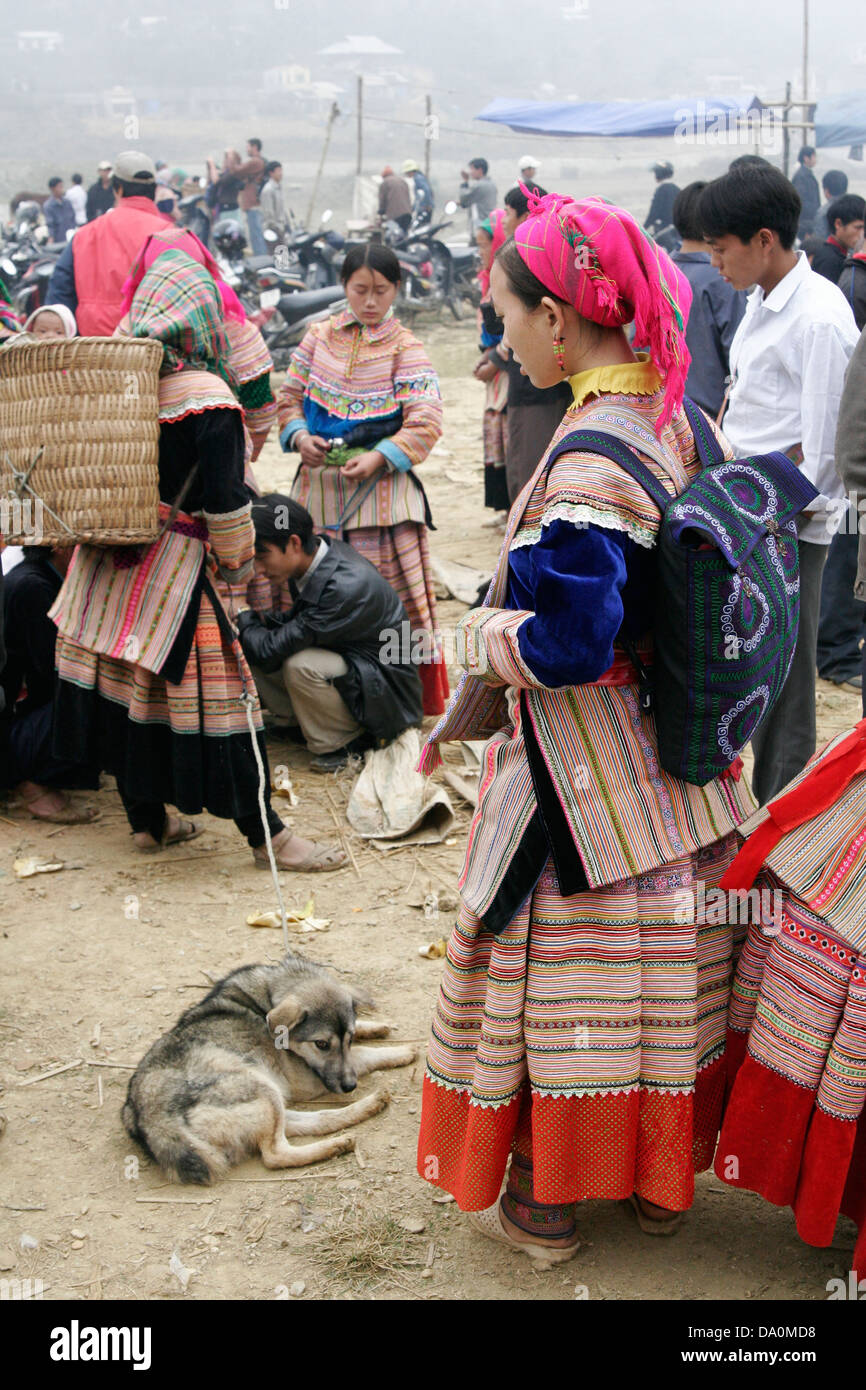 Flower Hmong people selling dogs at the animal market in Bac Ha ...