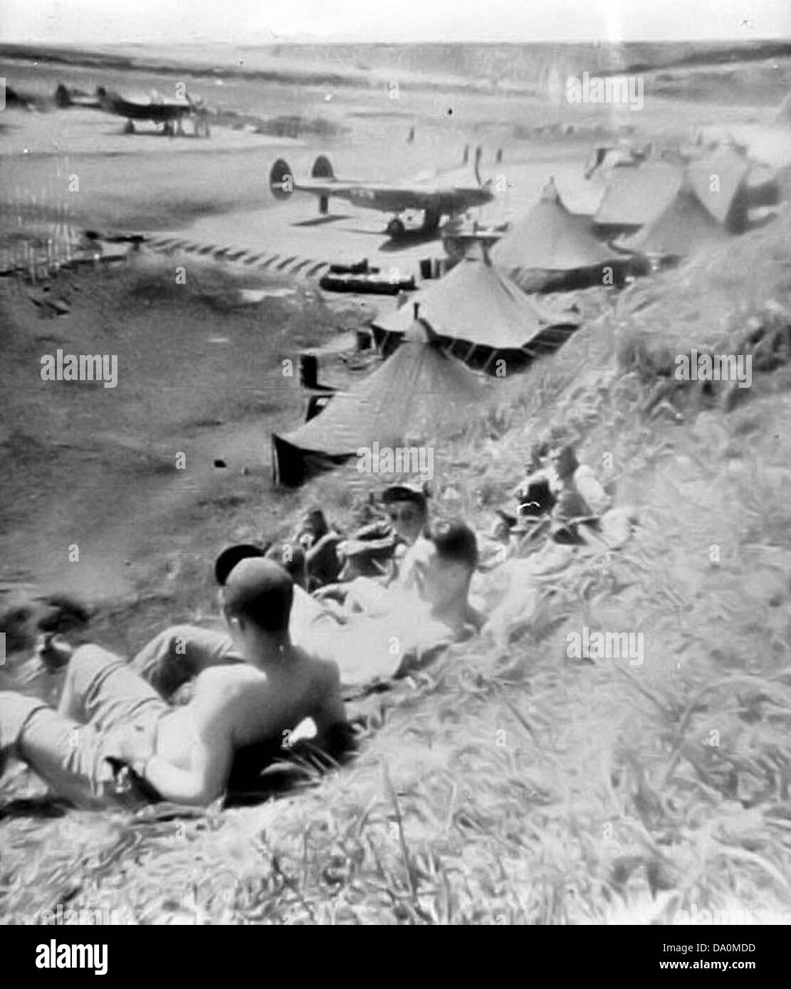 Alexai hi-res stock photography and images - Alamy