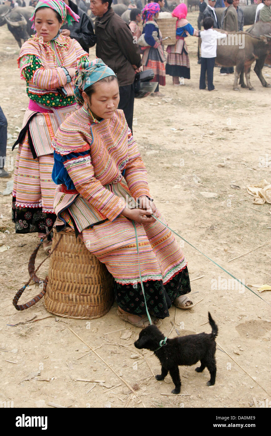 Bac ha sapa region vietnam flower hmong hi-res stock photography and ...